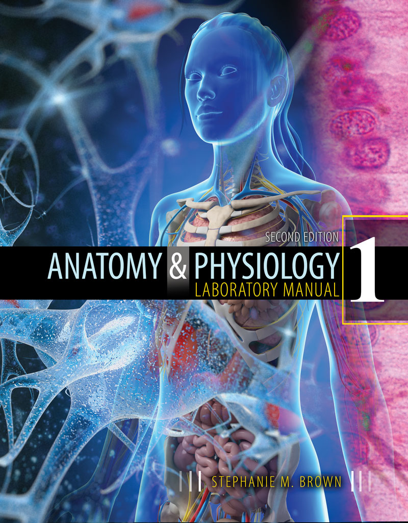 Anatomy & Physiology I Laboratory Manual | Higher Education