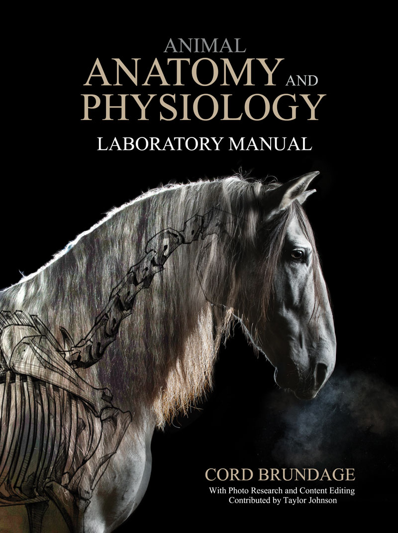 Animal Anatomy and Physiology Laboratory Manual | Higher Education