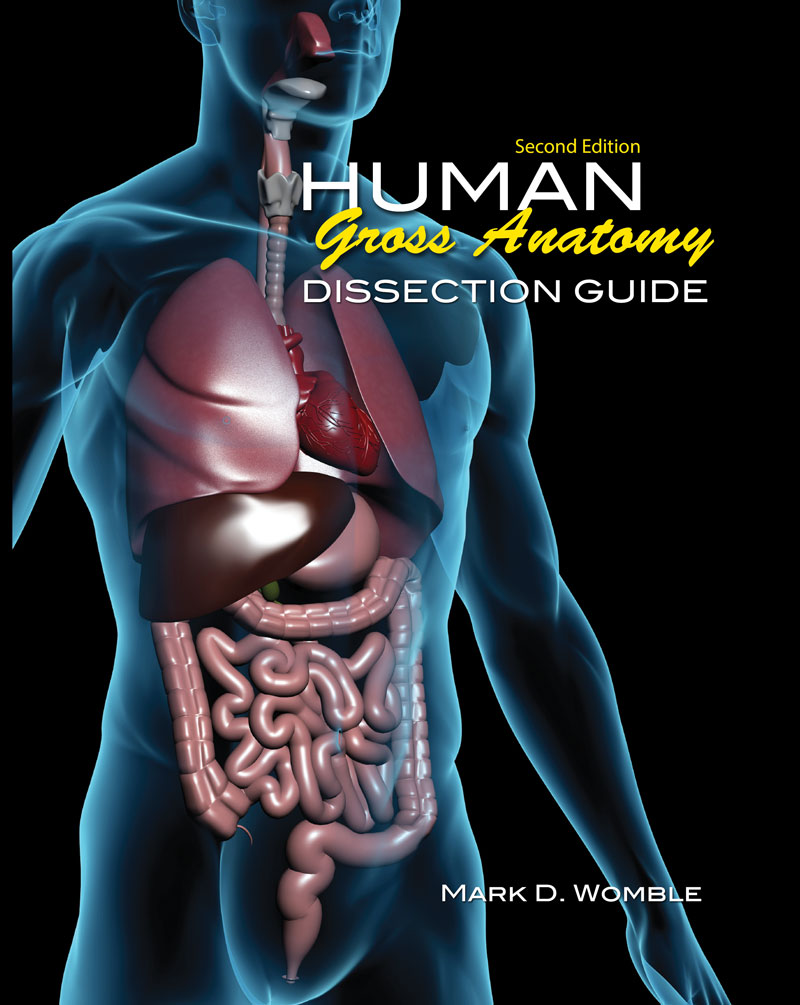 Human Gross Anatomy Dissection Guide For Physical Therapy Students 