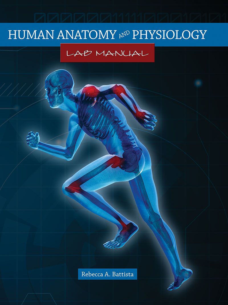 Human Anatomy and Physiology Lab Manual | Higher Education