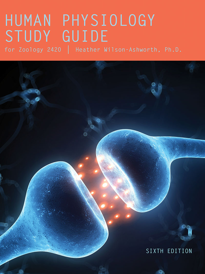 Human Physiology Study Guide for Zoology 2420 | Higher Education