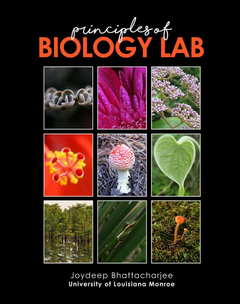 Principles of Biology Lab | Higher Education