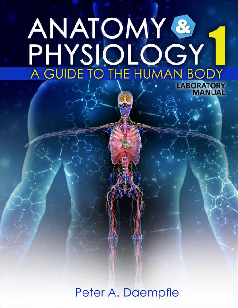 Human Anatomy Lab Manual