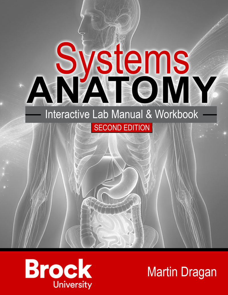 Systems Anatomy: Interactive Lab Manual & Workbook | Higher Education