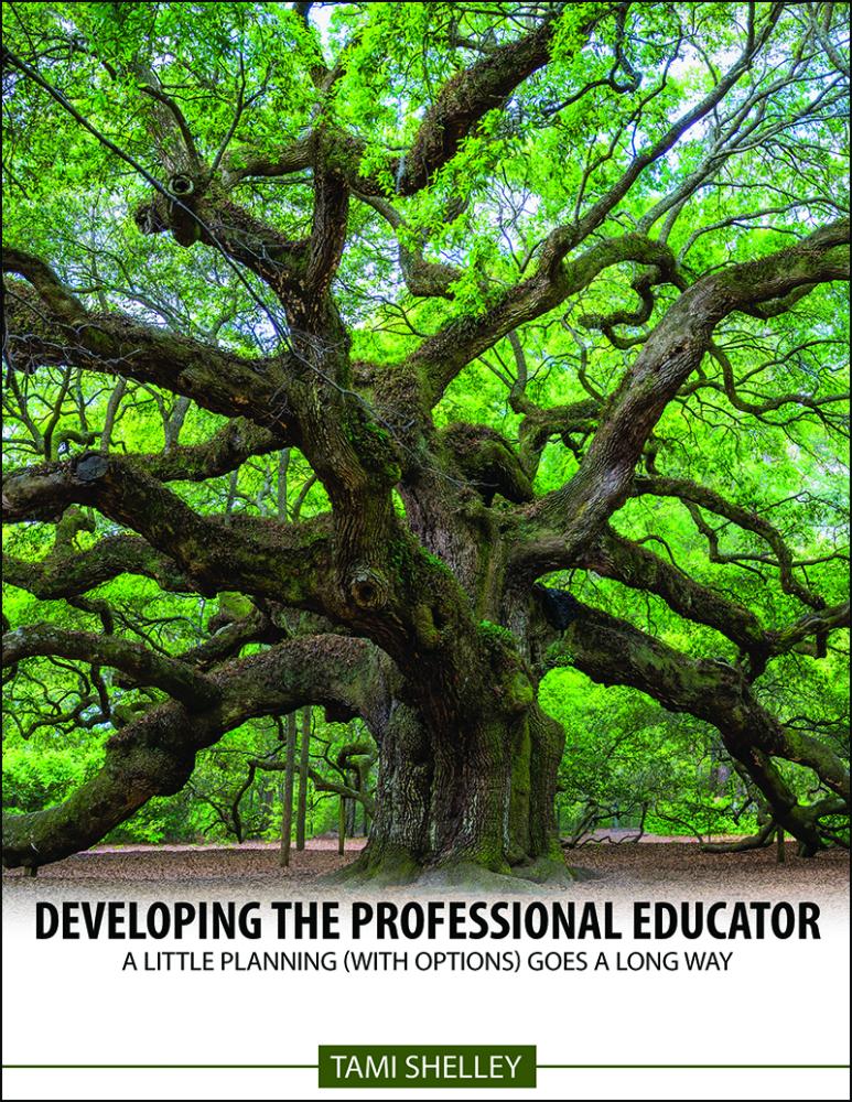 Developing the Professional Educator: A Little Planning (with Options ... Developing the Professional Educator: A Little Planning (with Options ...