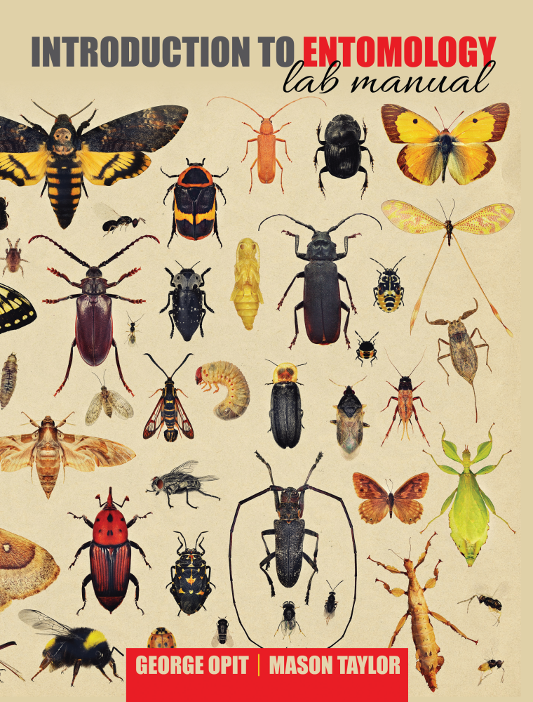 Introduction to Entomology Lab Manual | Higher Education Introduction to Entomology Lab Manual | Higher Education